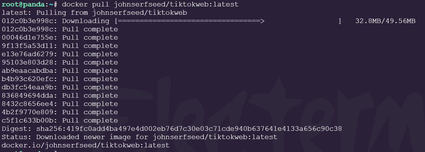 小姐姐捕捉器！docker部署一个TikTokDownload网页版 - 熊猫不是猫QAQ-腾讯云开发者社区-腾讯云